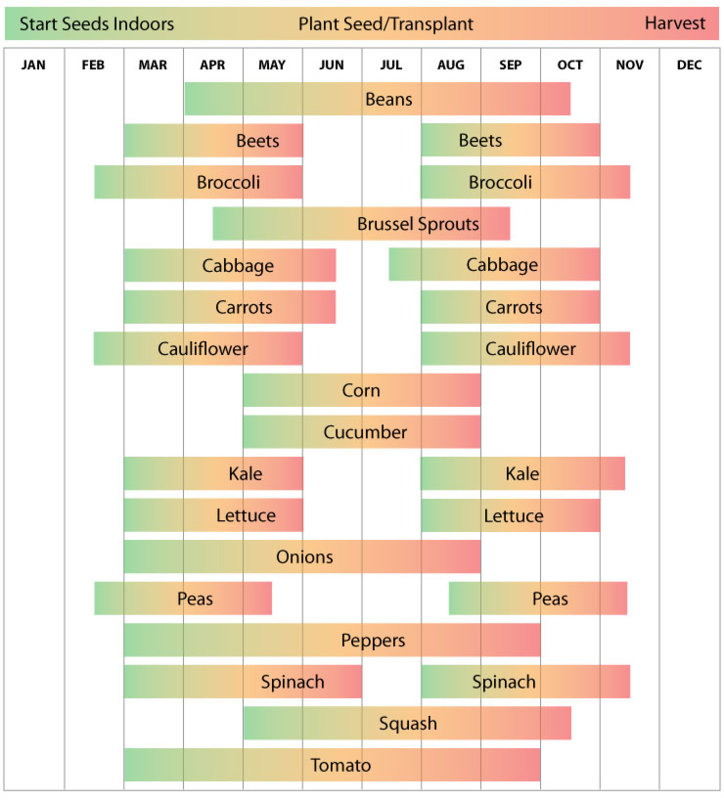When To Plant Veggies SufficientSelf Creating A Sustainable Lifestyle